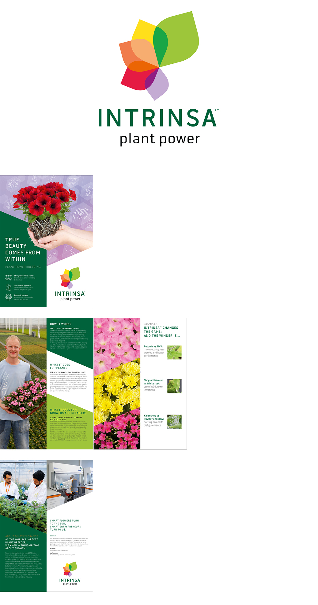 Niehaus Knüwer and friends –eine Marke der Hey Unkelbach GmbH – Grüne ...